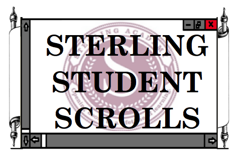 Accredited Online High School English Courses | Sterling Academy